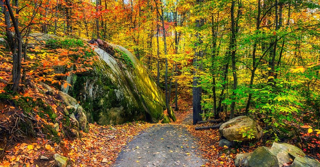 Why Barrie is Amazing in the Fall - Previn Court Homes